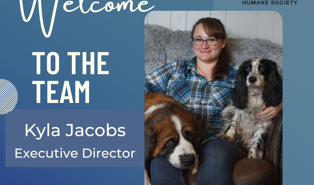 News | Anita's Stevens Swan Humane Society