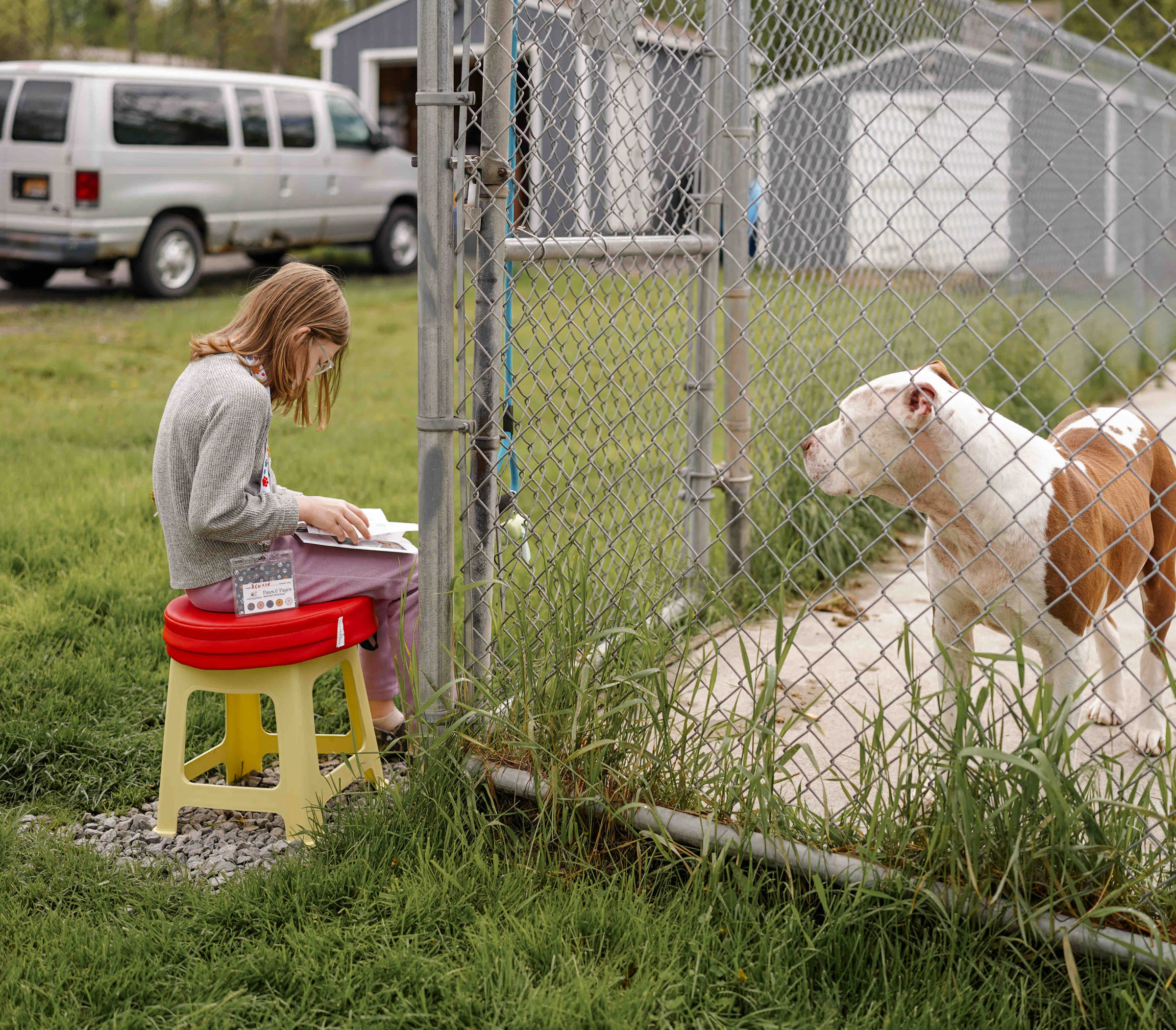 Paws & Pages Reading Program | Anita's Stevens Swan Humane Society