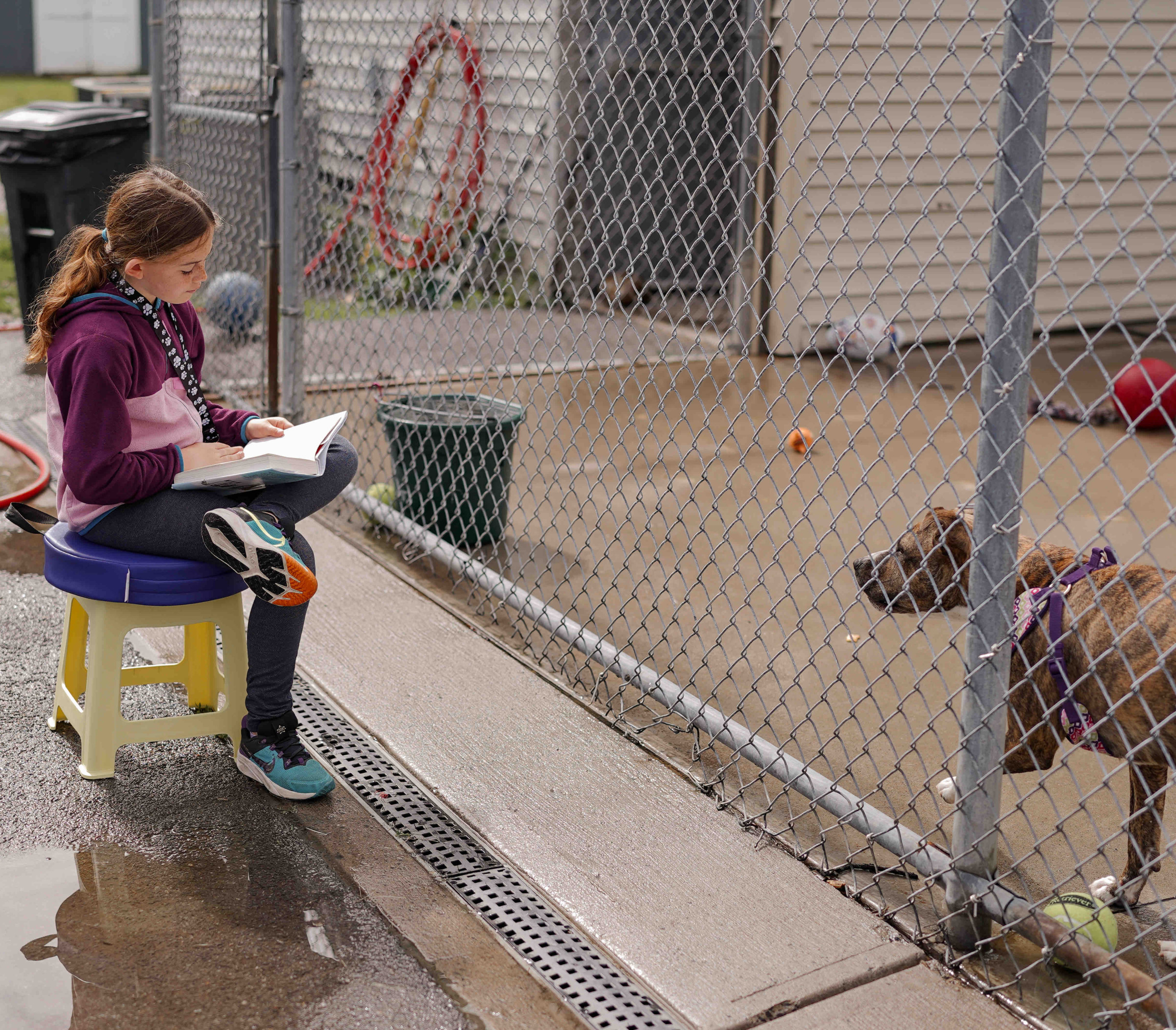 Paws & Pages Reading Program | Anita's Stevens Swan Humane Society