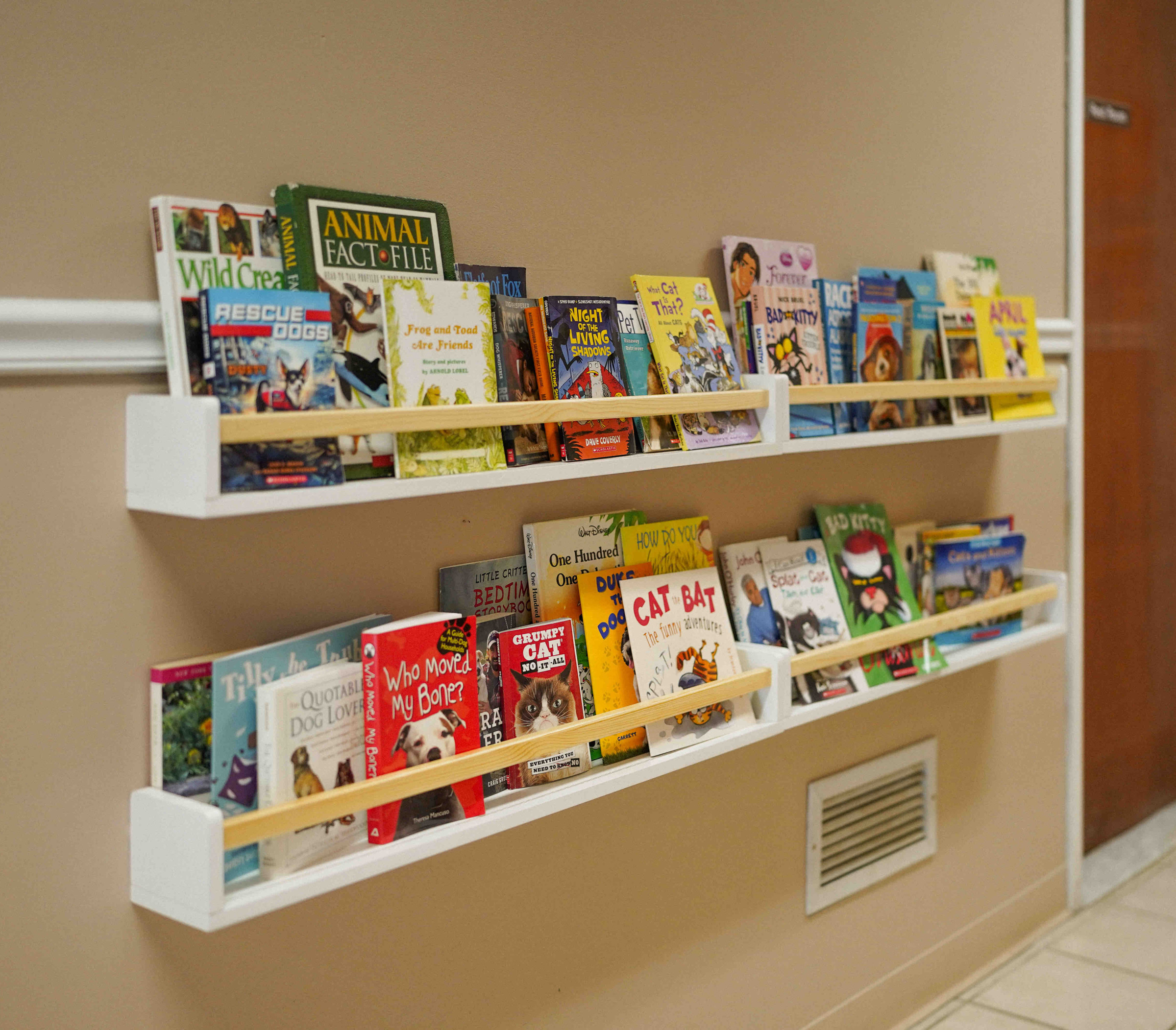Paws & Pages Reading Program | Anita's Stevens Swan Humane Society