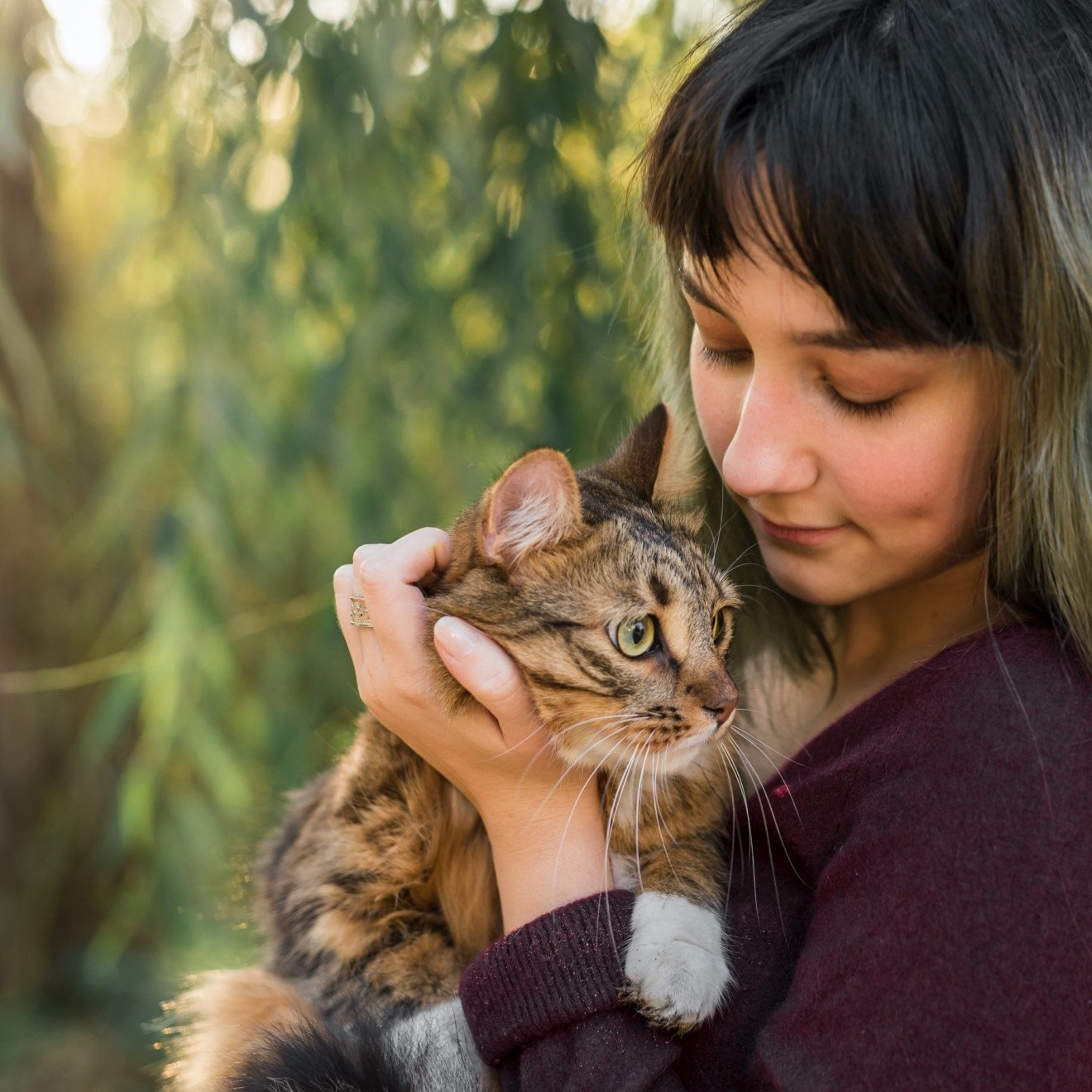The Animal Shelter In Oneida County For Rescue Dogs And Cats | Anita's ...